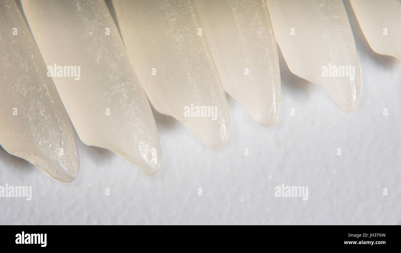 Rice: Super close-up Stock Photo - Alamy