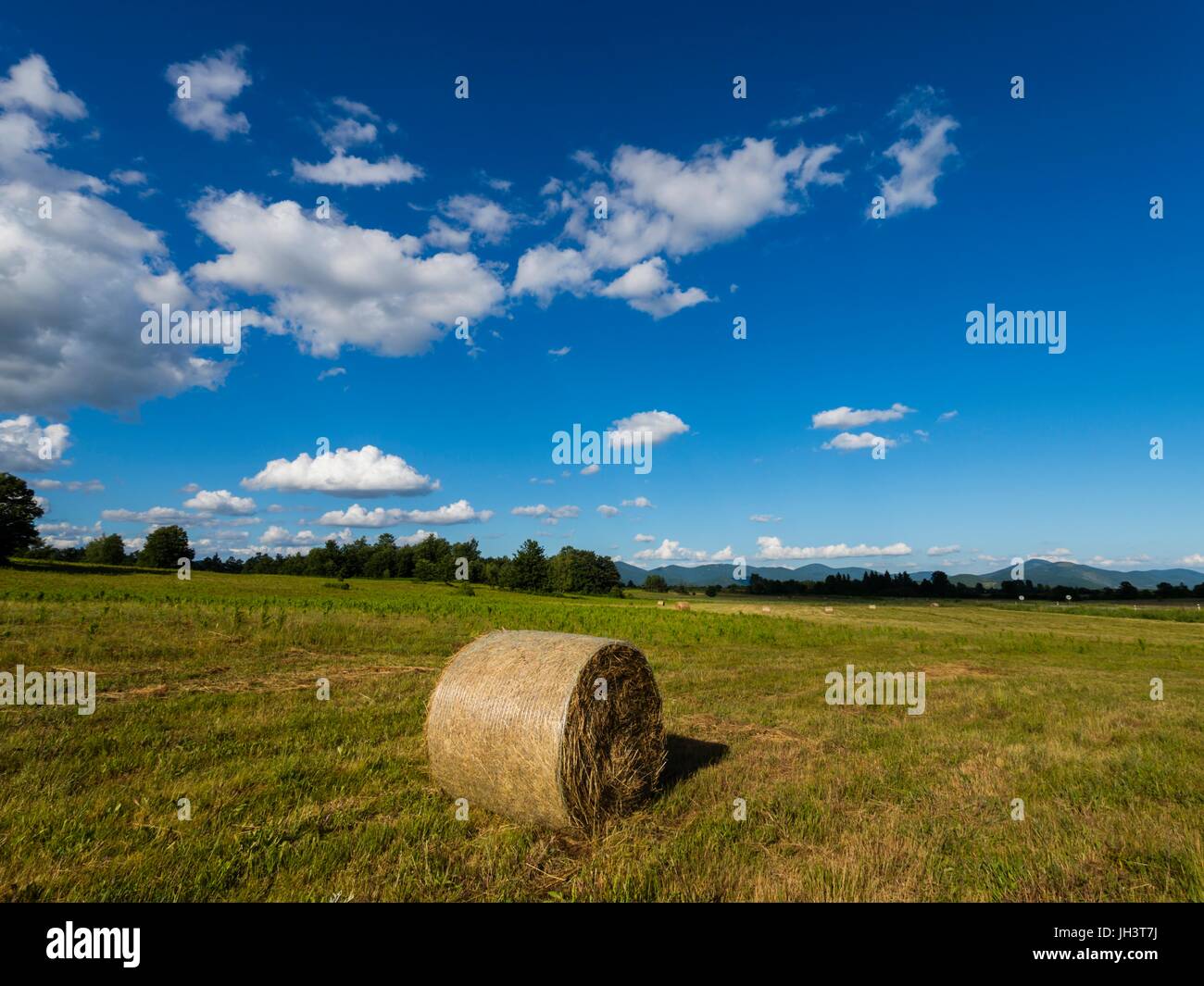 Hay bale in Raduc in Lika county in Croatia Stock Photo - Alamy
