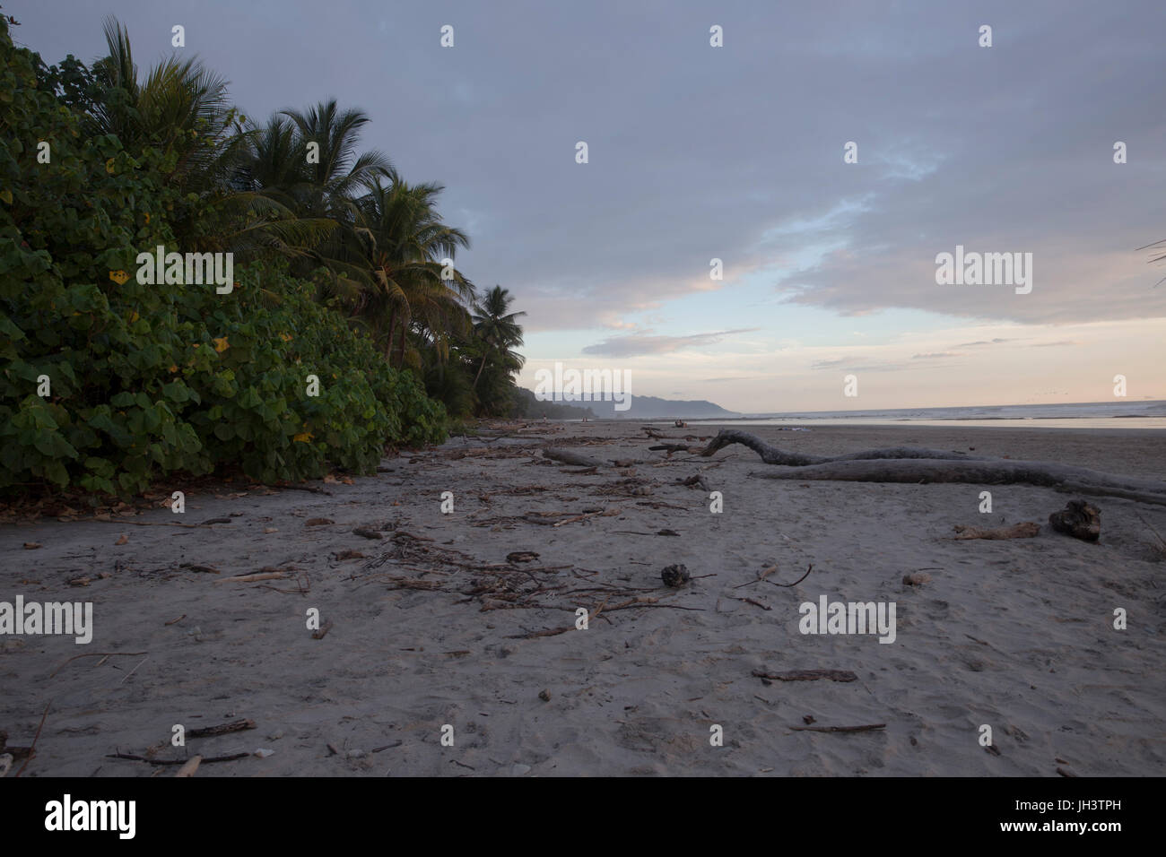 Beachwalk at sunset hi-res stock photography and images - Alamy