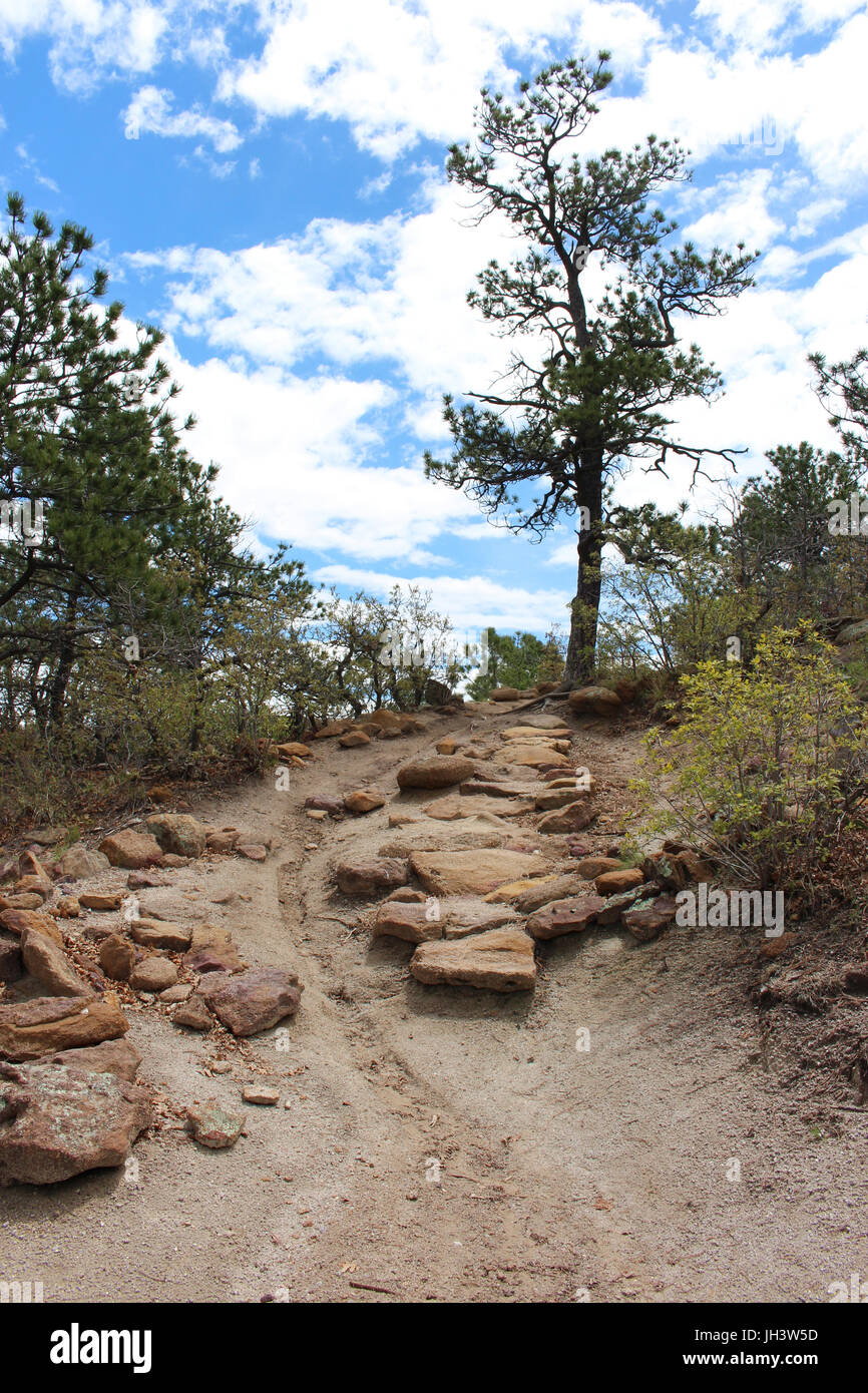 A dirt hiking trail, strewn with rocks, edged with vegetation, on the ...