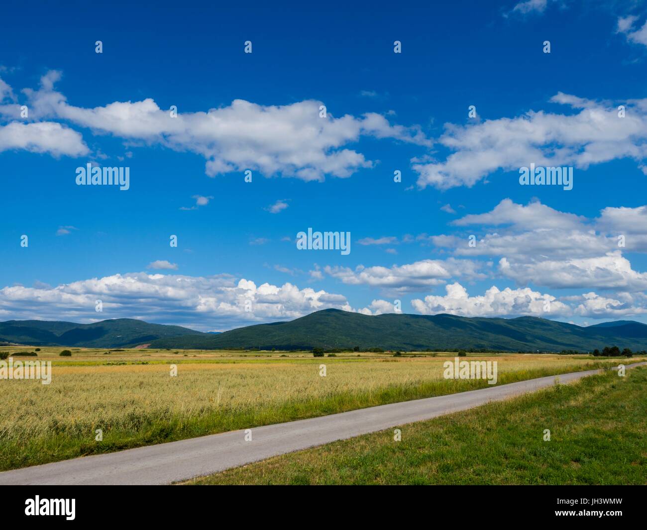 Lika county plains country-side near Licko Lesce Stock Photo - Alamy