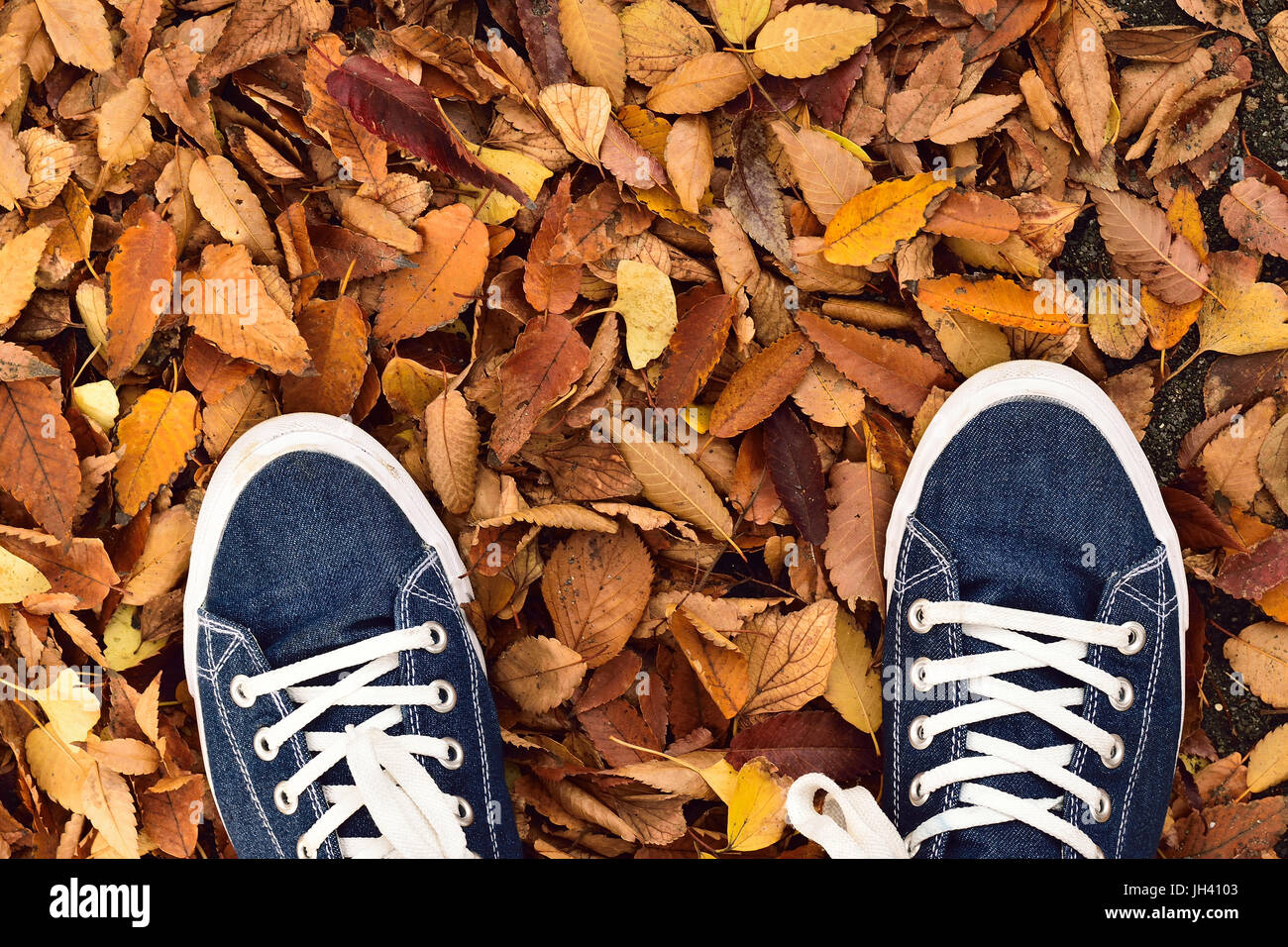 Background Pair of blue canvas shoes with fallen autumn leaves Stock ...