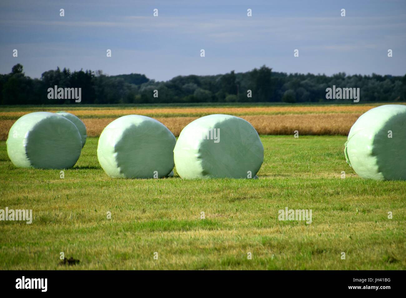 rural idyll, Silage balls, grass Silage, maize Silage, Silage bale ...