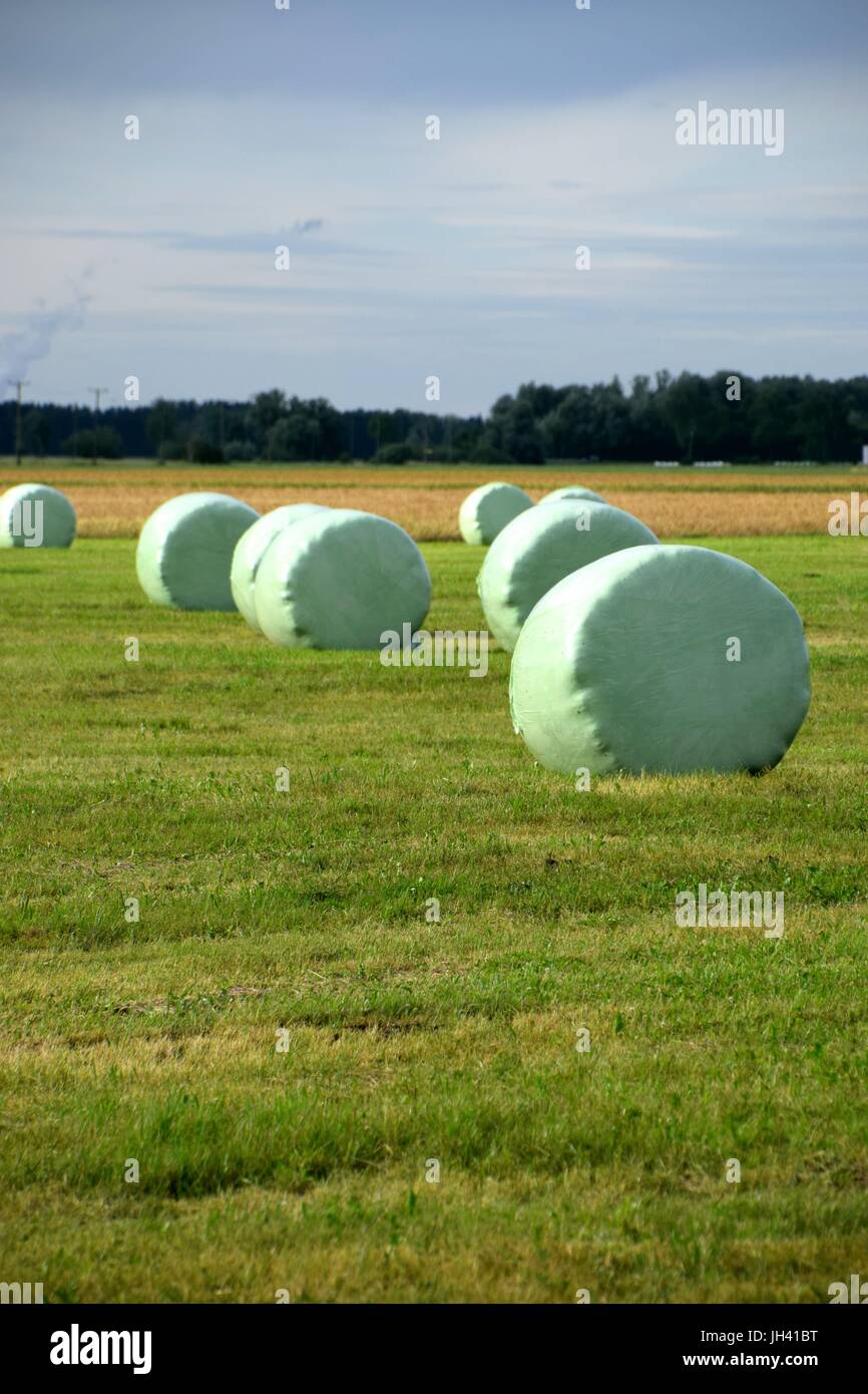 Silage balls, grass Silage, maize Silage, Silage bale, Silage heap ...