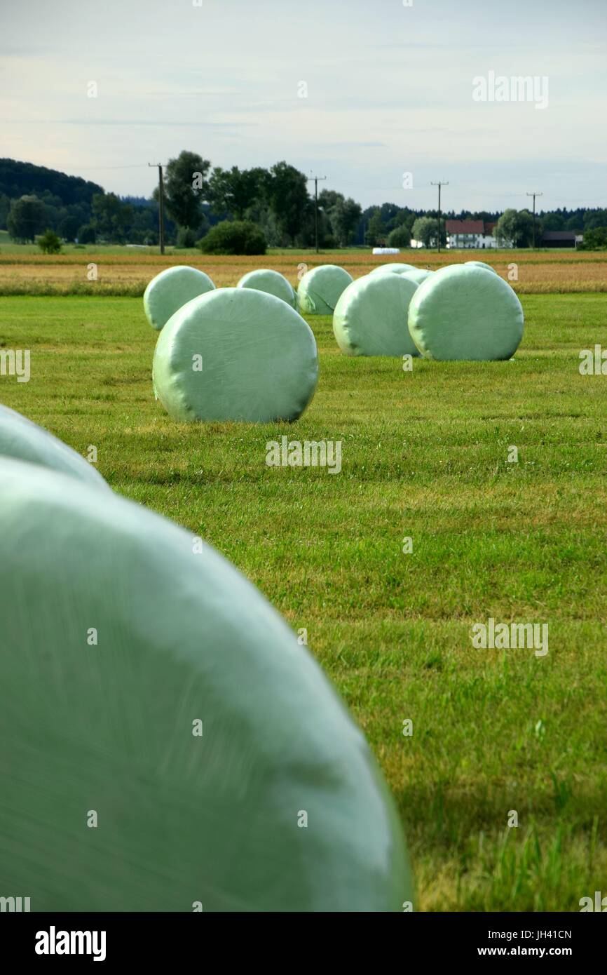 rural idyll, Silage balls, grass Silage, maize Silage, Silage bale ...