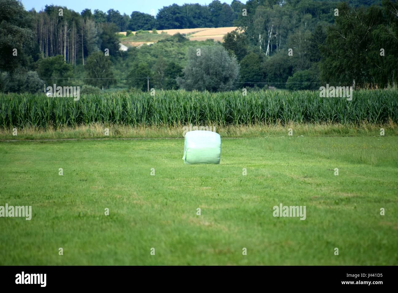 Silage balls, grass Silage, maize Silage, Silage bale, Silage heap ...