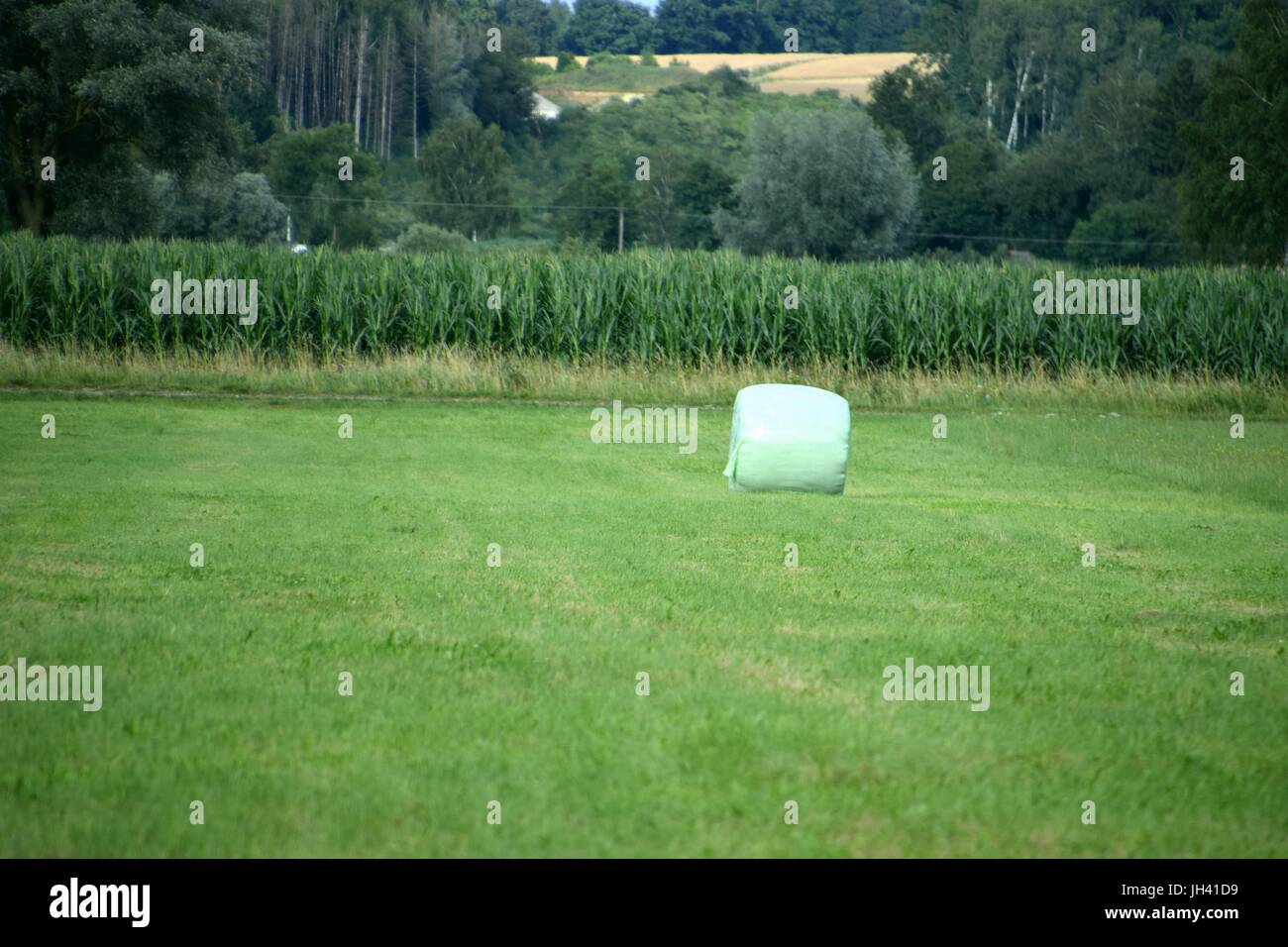 Silage balls, grass Silage, maize Silage, Silage bale, Silage heap ...