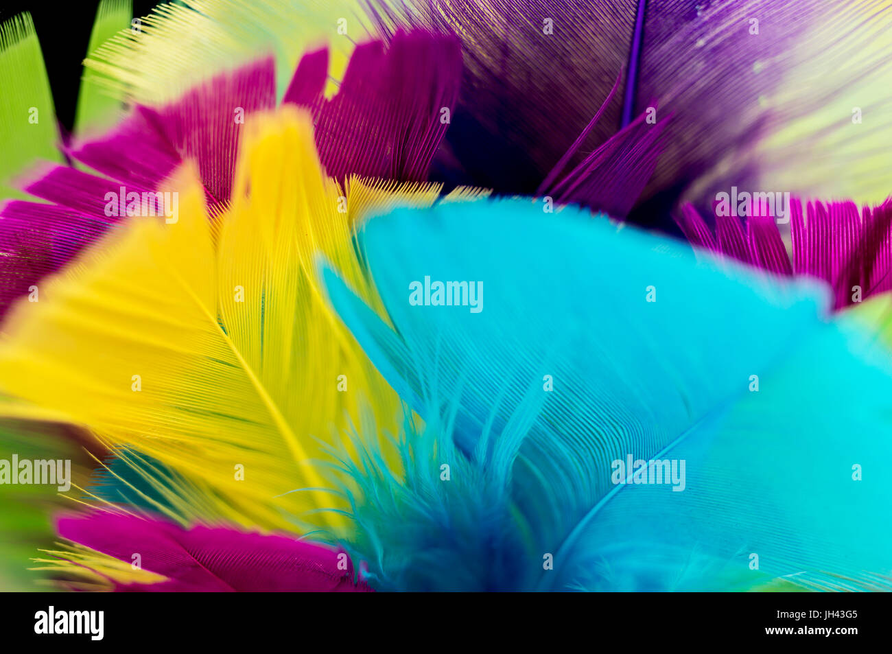 Beautiful colored feathers hi-res stock photography and images - Alamy