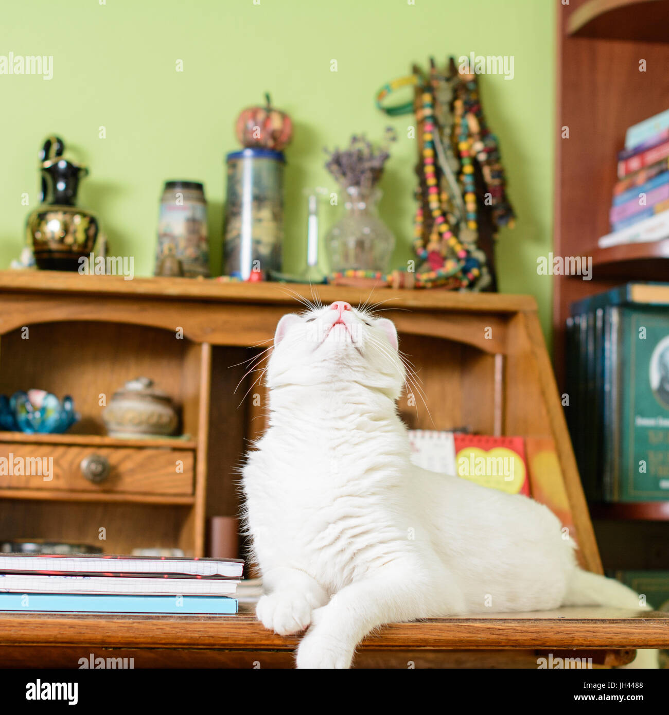 Books notebooks desk hi-res stock photography and images - Alamy