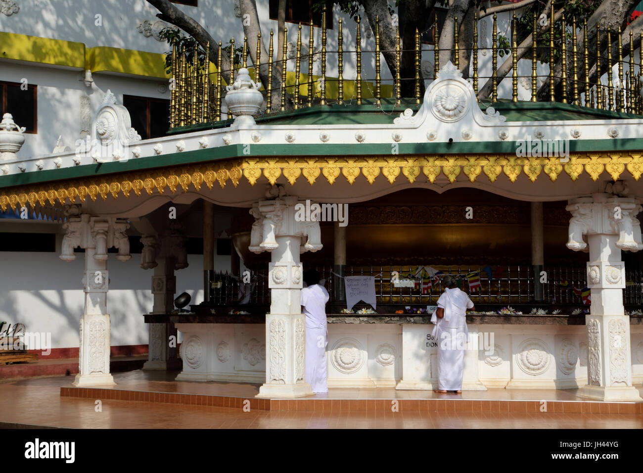 Dambulla Sri Lanka Golden Temple Bo Tree Woman Leaving Lotus Flowers As ...