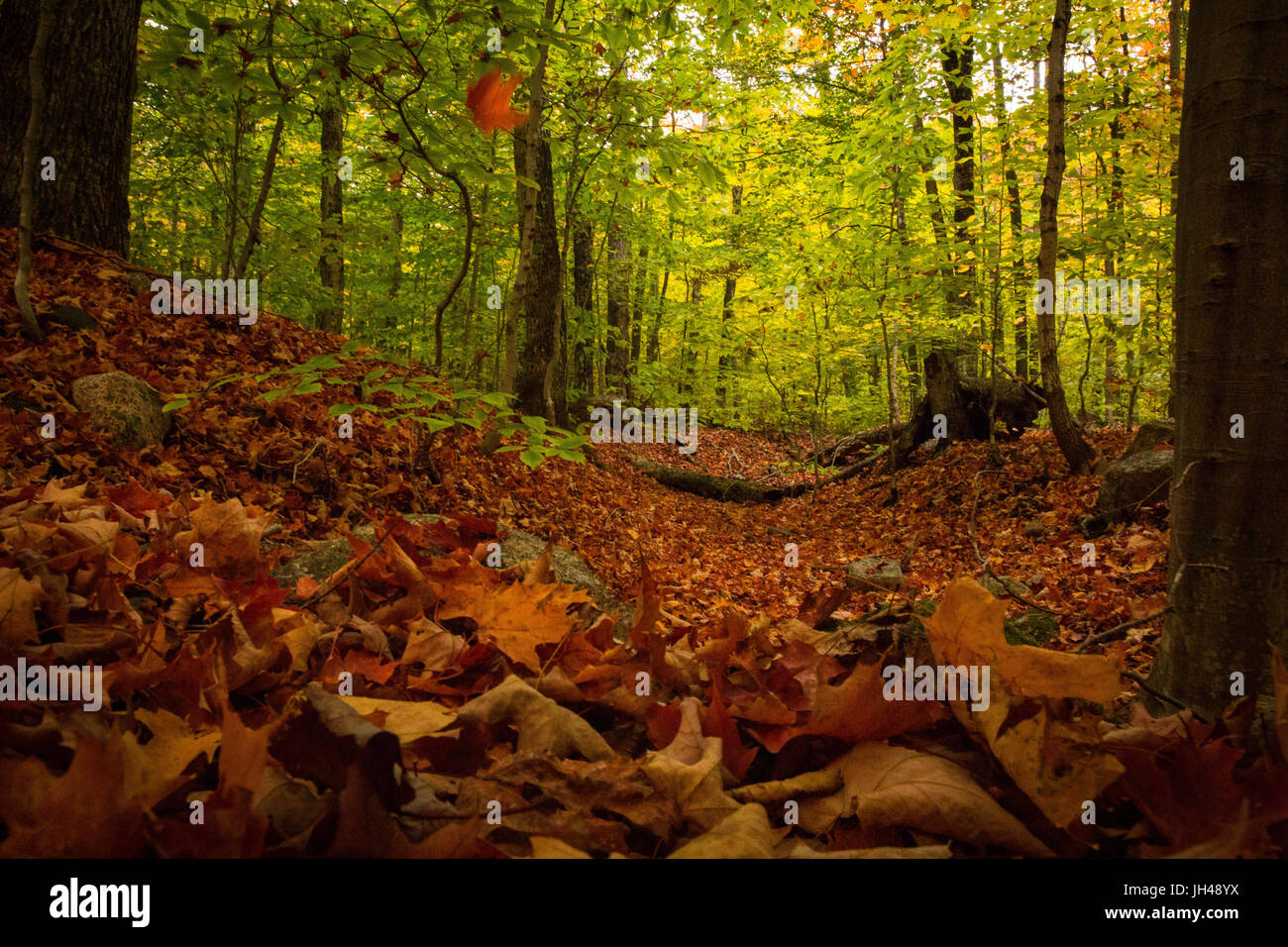 Panorami photo hi-res stock photography and images - Alamy