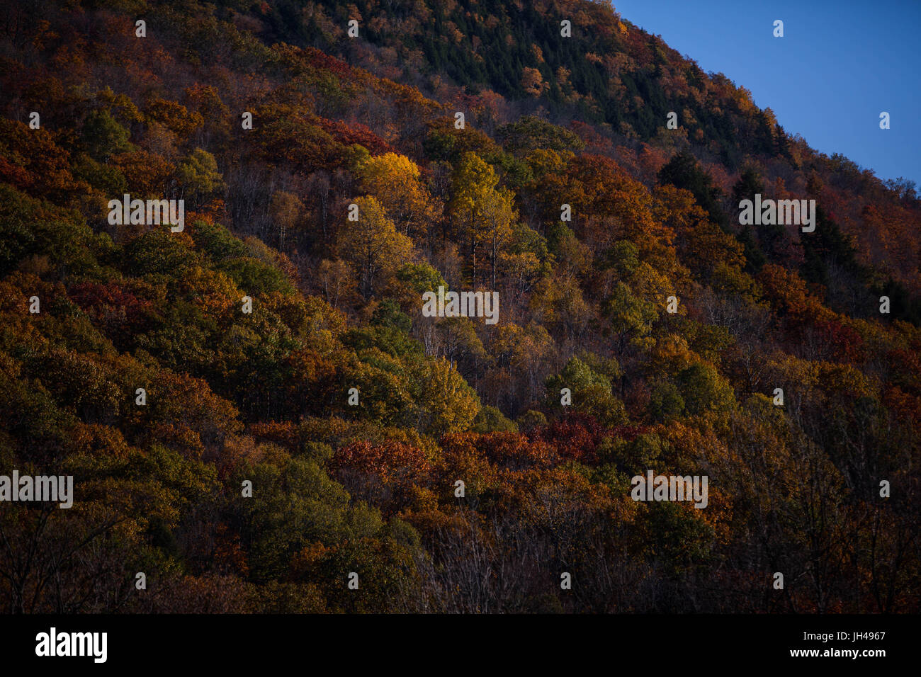 Panorami photo hi-res stock photography and images - Alamy