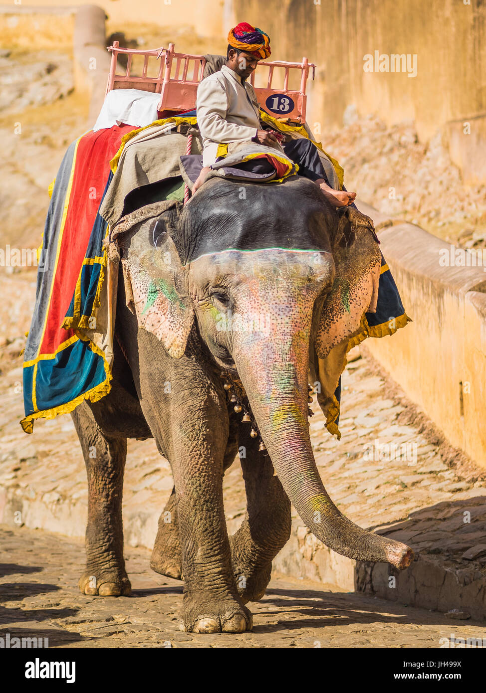 India man riding decorated elephant hi-res stock photography and images ...
