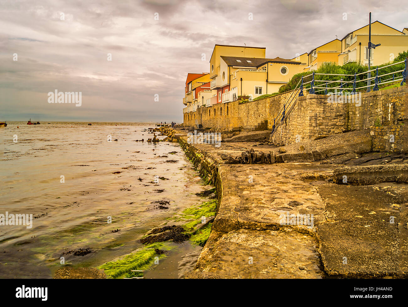 The Swanage coastal path to Peveril Point in the evening light Stock ...