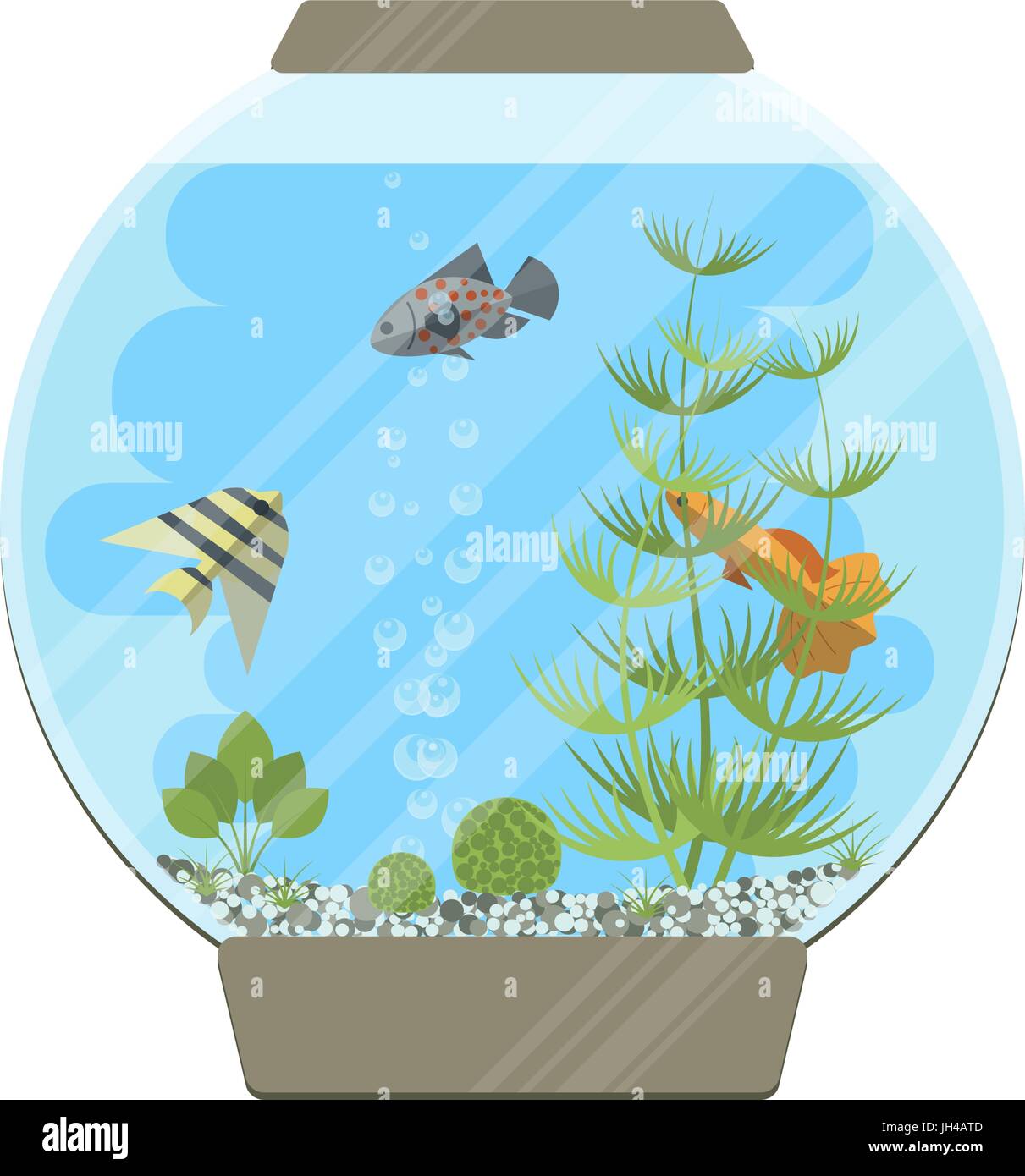 Goldfish home green plants tank Stock Vector Images - Alamy