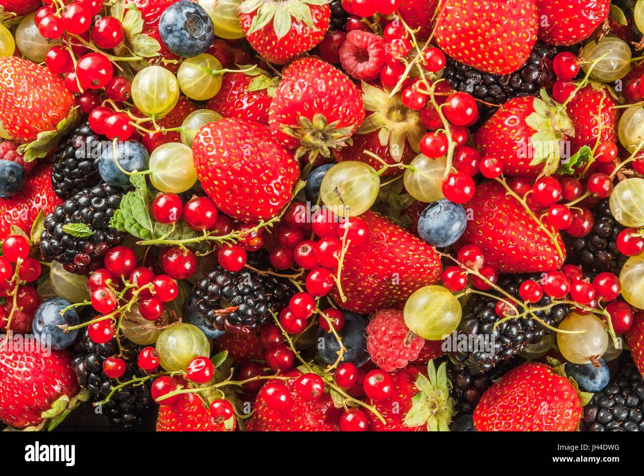 Summer fruit and berries. 6 types of raw organic farmer berries ...