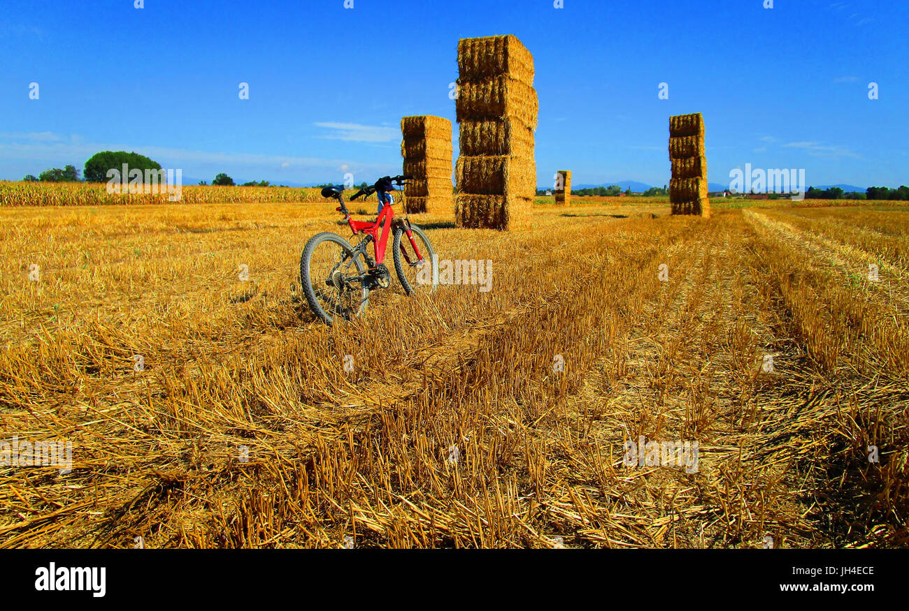 Absolute freedom hi-res stock photography and images - Alamy