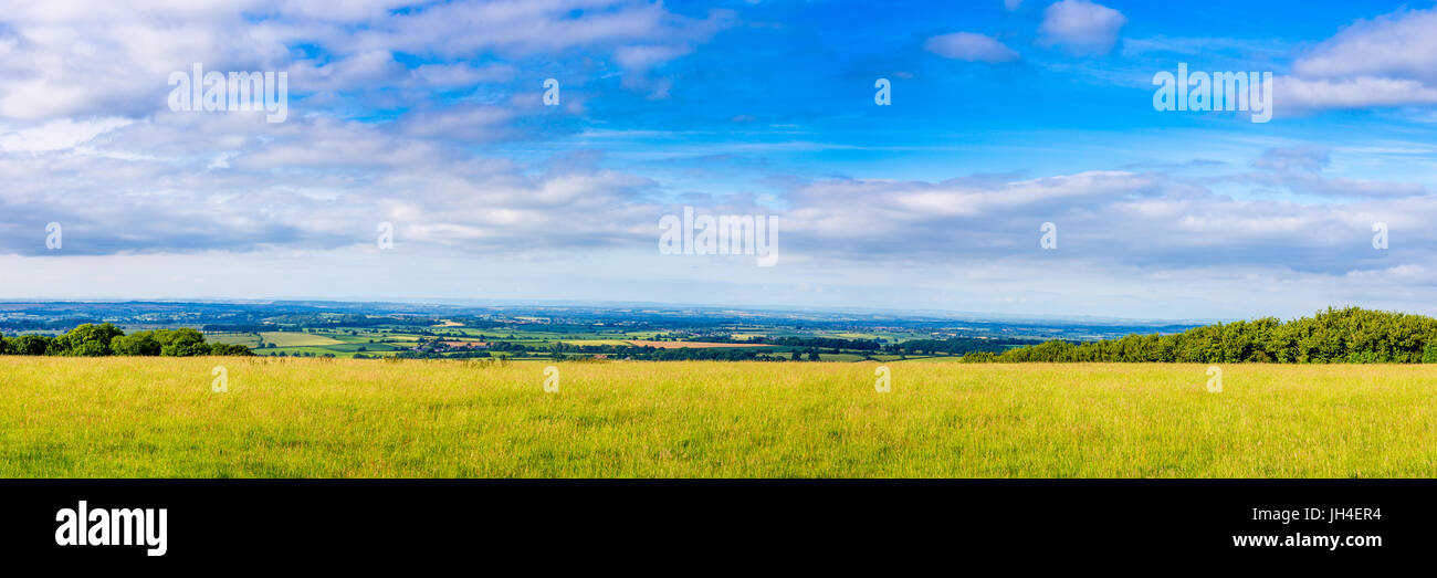 Panoramic Picture of the South Somerset Countryside UK Stock Photo - Alamy