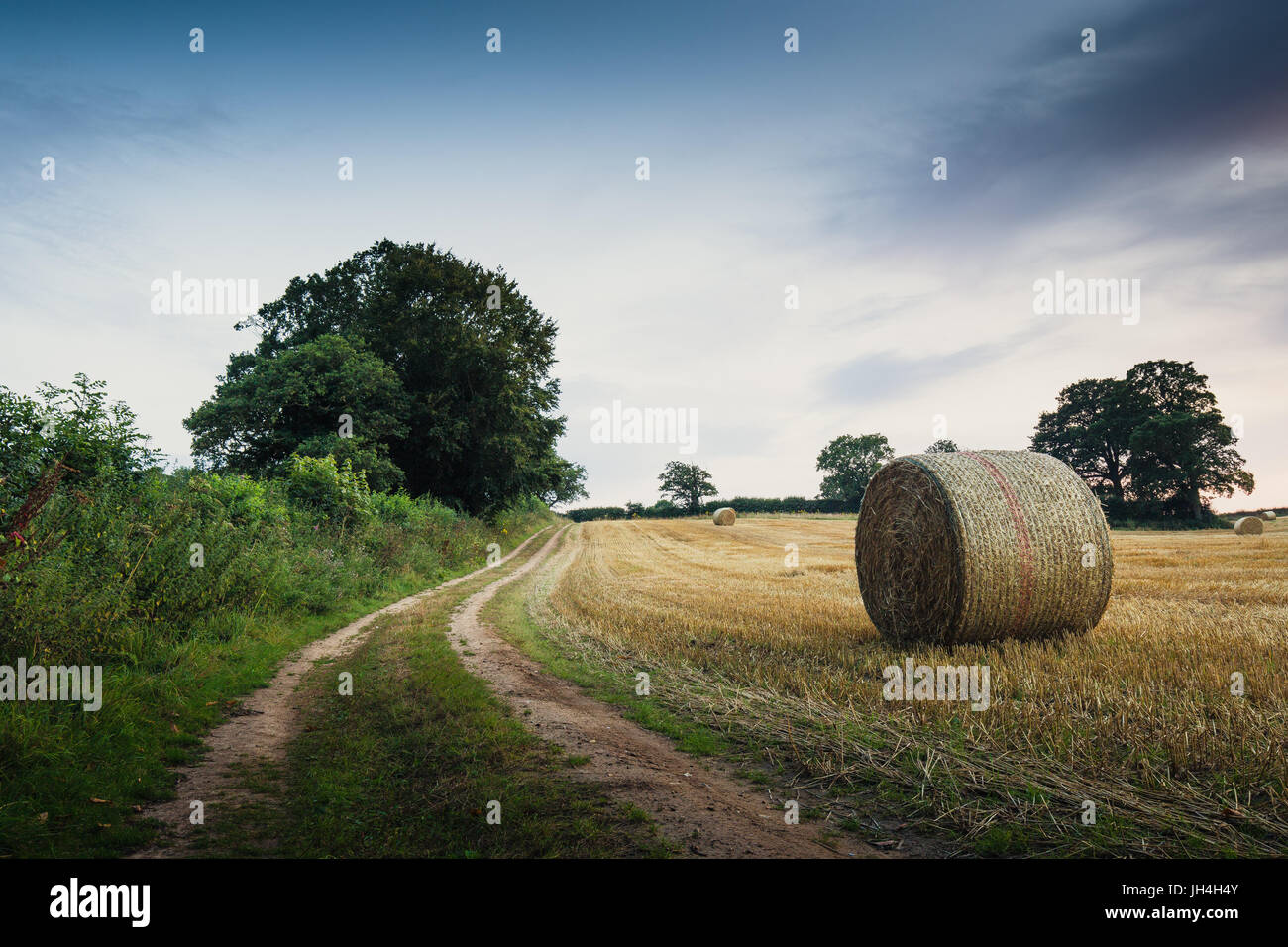 Hay bale on country road hi-res stock photography and images - Alamy