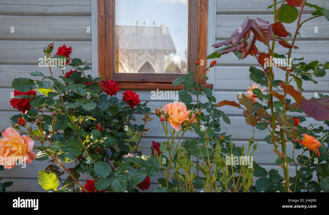 Beautiful home exterior near nature hi-res stock photography and images ...