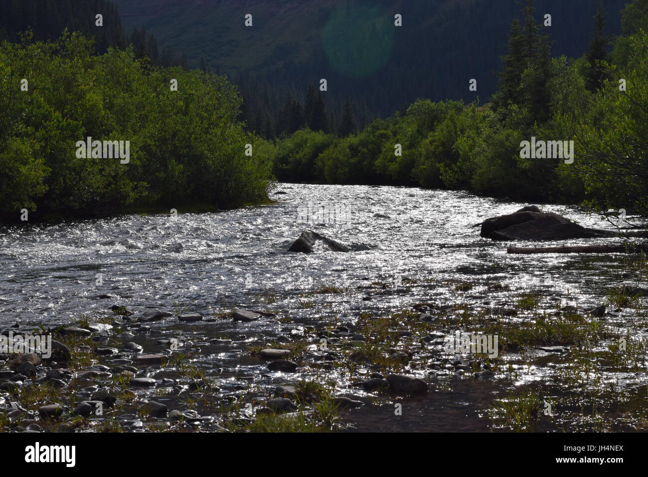 Ice fed stream hi-res stock photography and images - Alamy