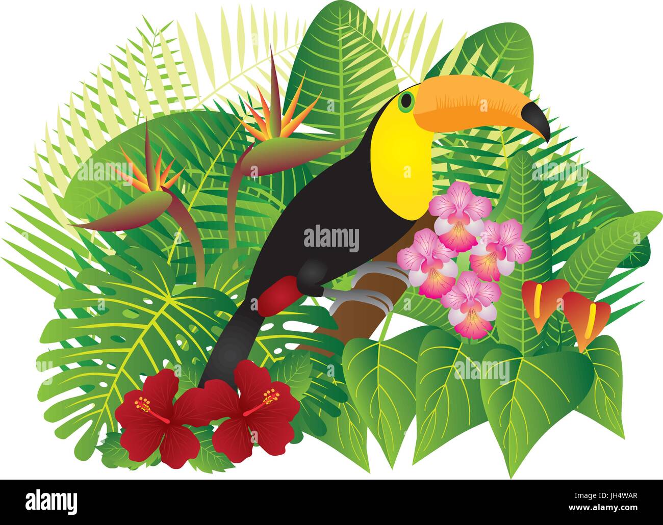 Tropical Rainforest Flowers Clipart