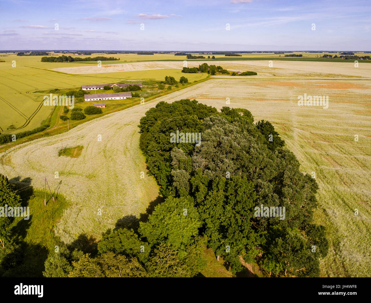 drone image. aerial view of rural area with fields and forests in sunny ...