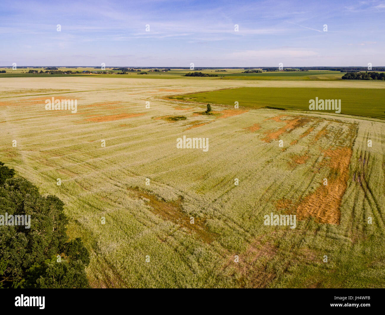 drone image. aerial view of rural area with fields and forests in sunny ...