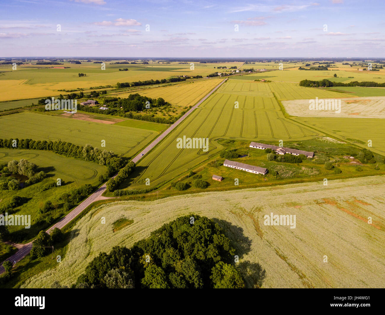 drone image. aerial view of rural area with fields and forests in sunny ...