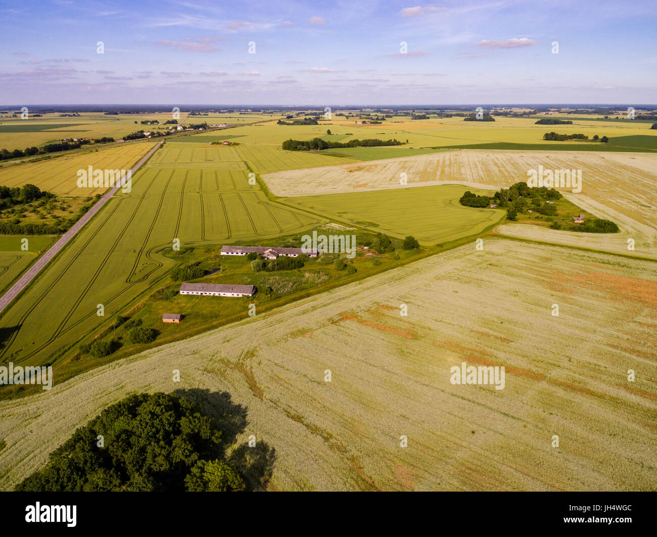 drone image. aerial view of rural area with fields and forests in sunny ...