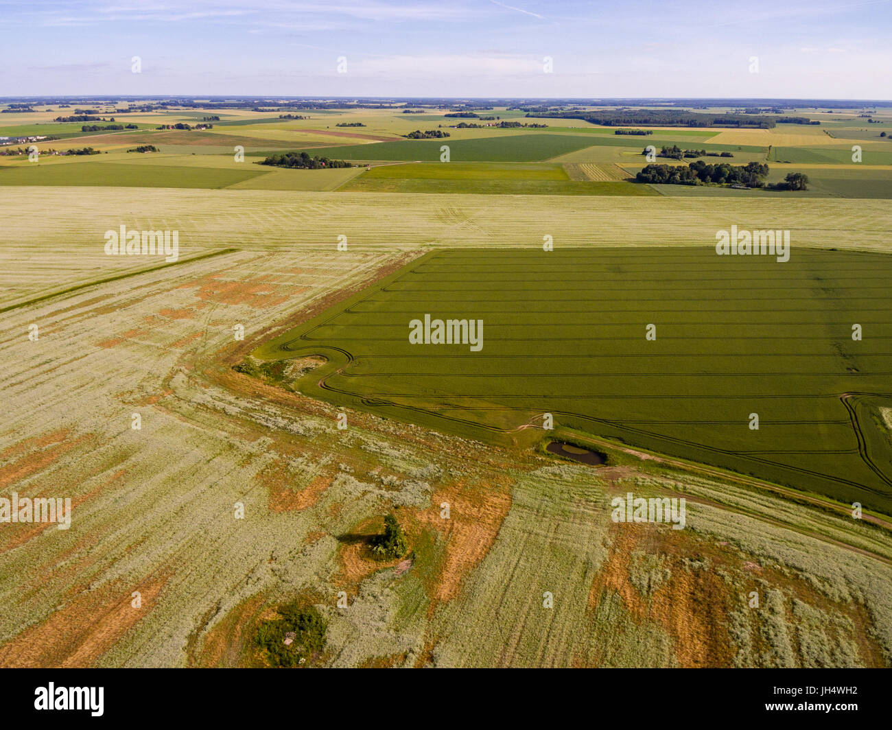 drone image. aerial view of rural area with fields and forests in sunny ...