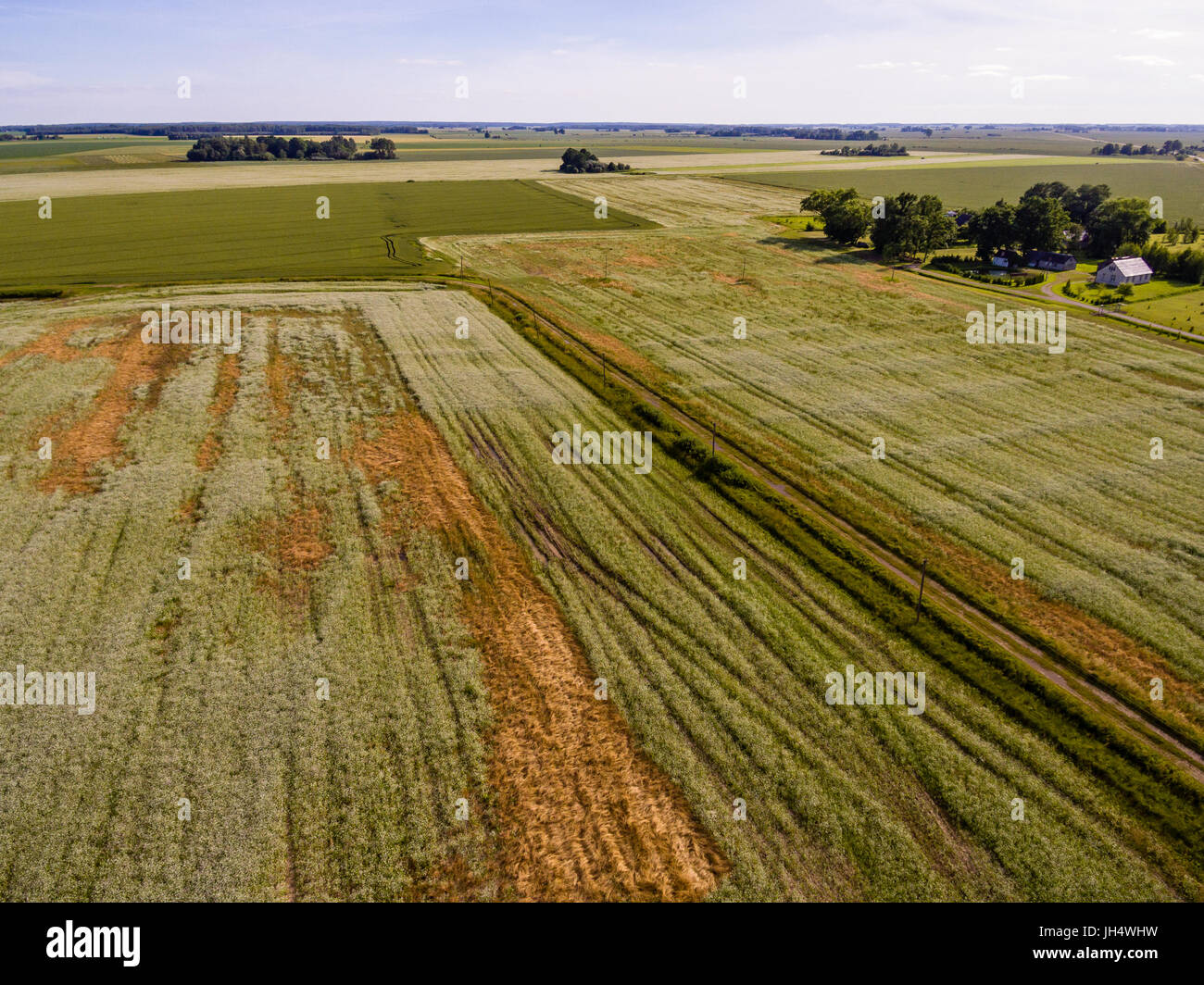 drone image. aerial view of rural area with fields and forests in sunny ...
