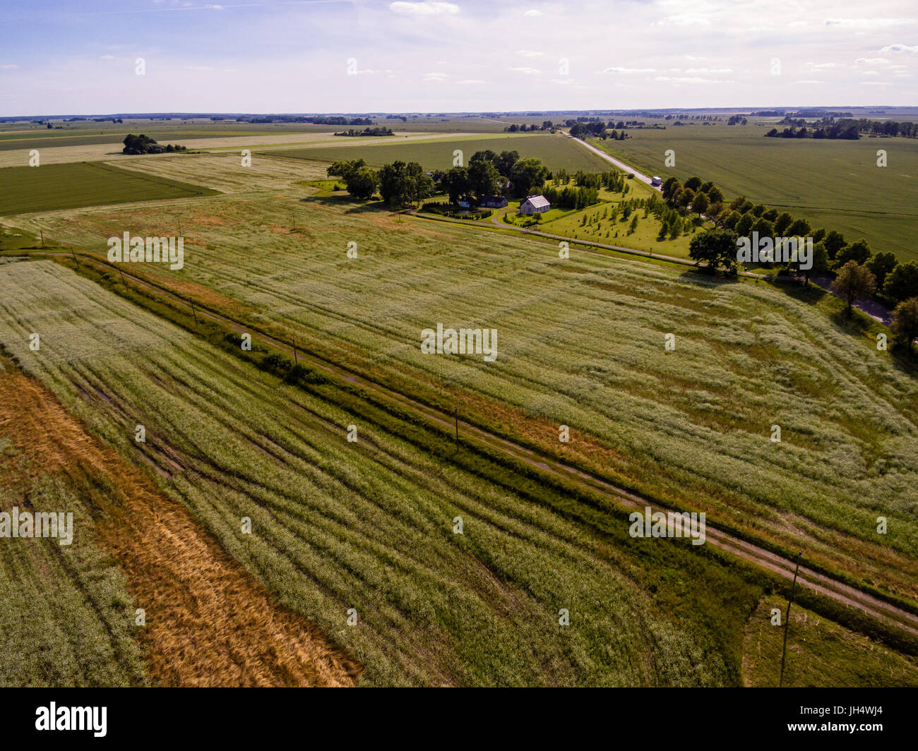 drone image. aerial view of rural area with fields and forests in sunny ...