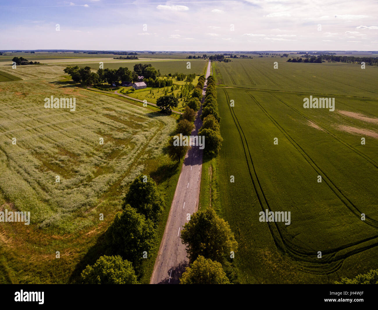drone image. aerial view of rural area with green fields and forests in ...