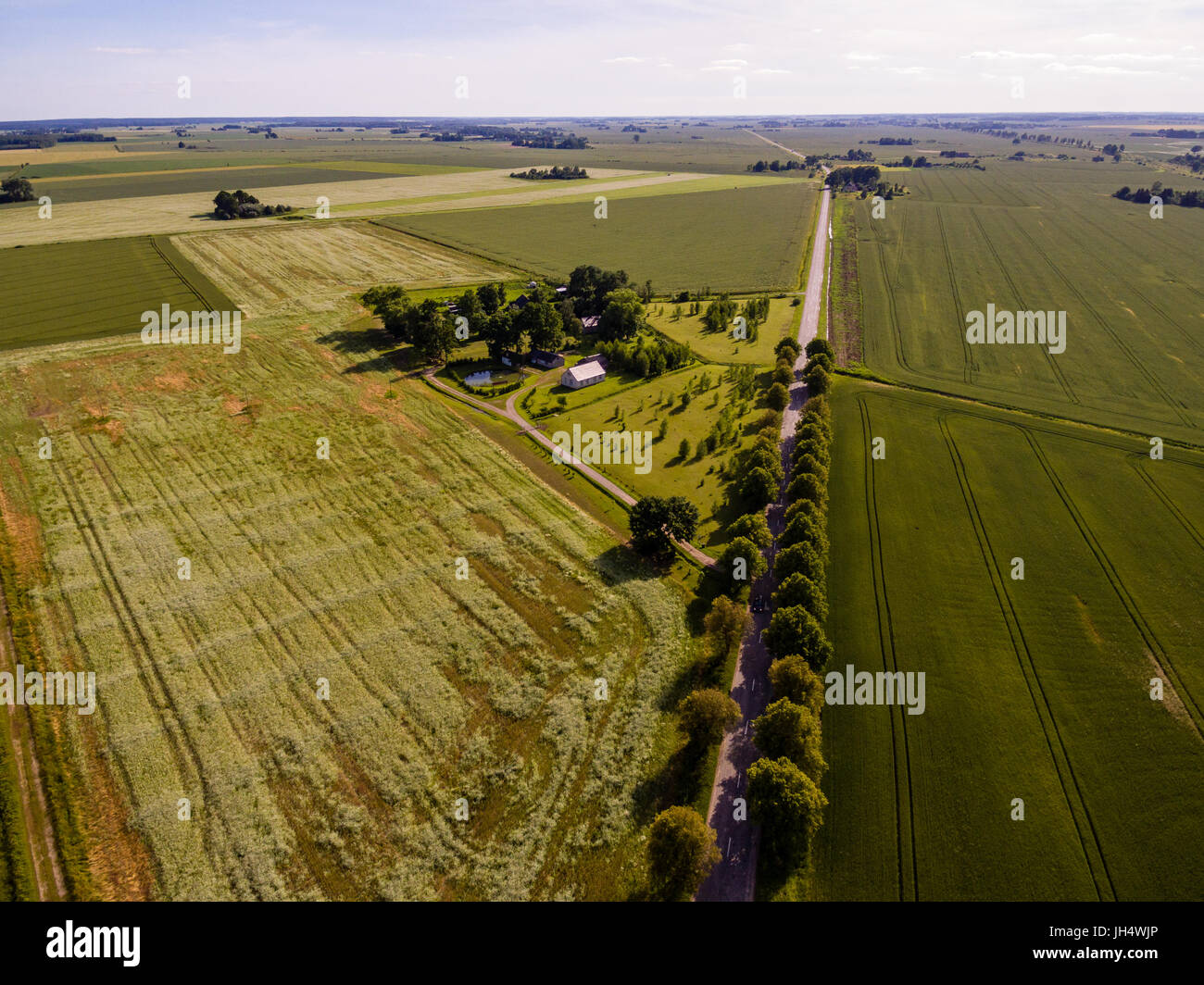 drone image. aerial view of rural area with green fields and forests in ...