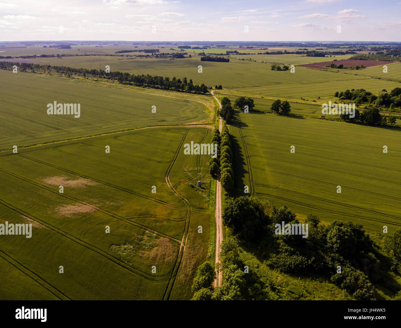 drone image. aerial view of rural area with green fields and forests in ...
