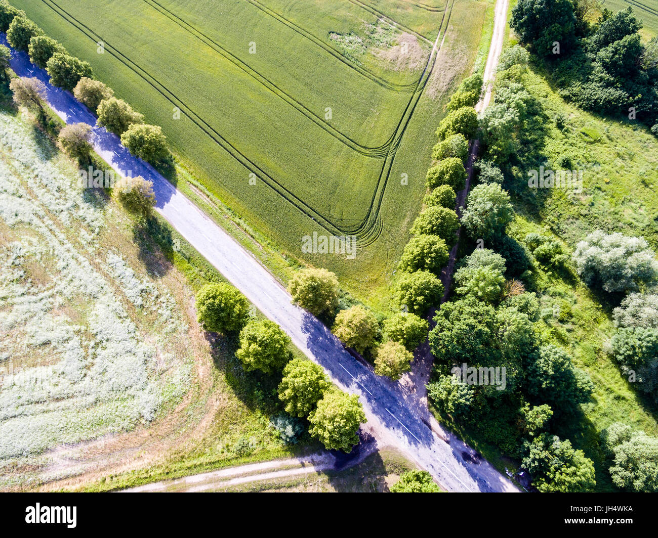 drone image. aerial view of rural area with green fields and forests in ...