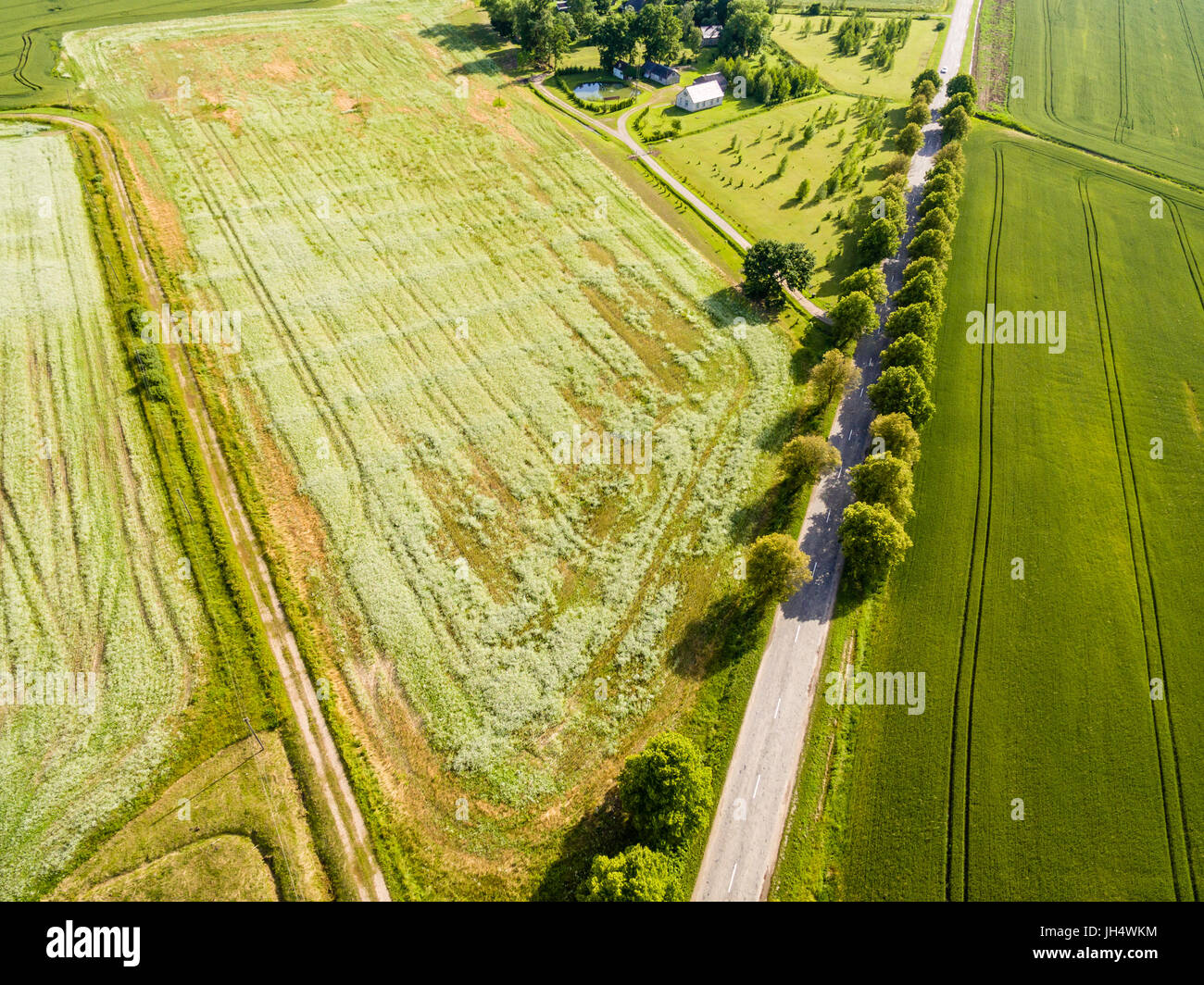 drone image. aerial view of rural area with green fields and forests in ...