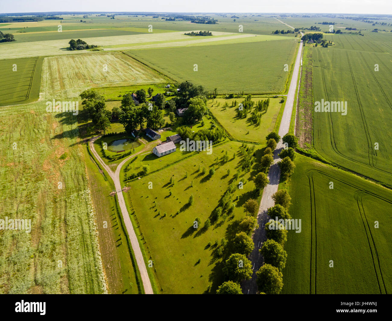 drone image. aerial view of rural area with green fields and forests in ...