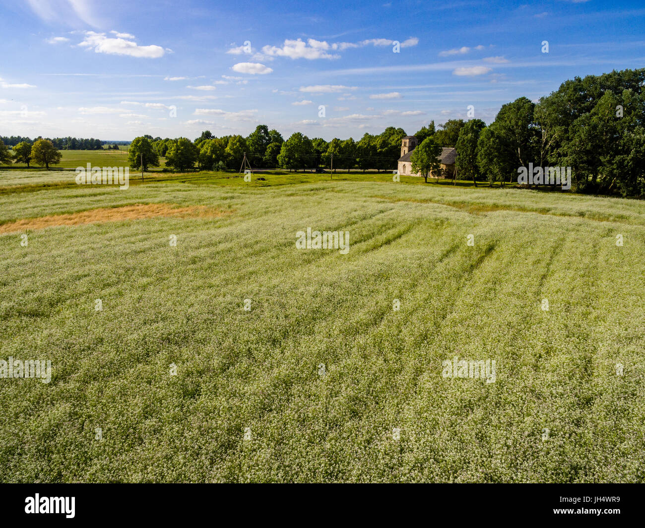 drone image. aerial view of rural area with fields and forests in sunny ...