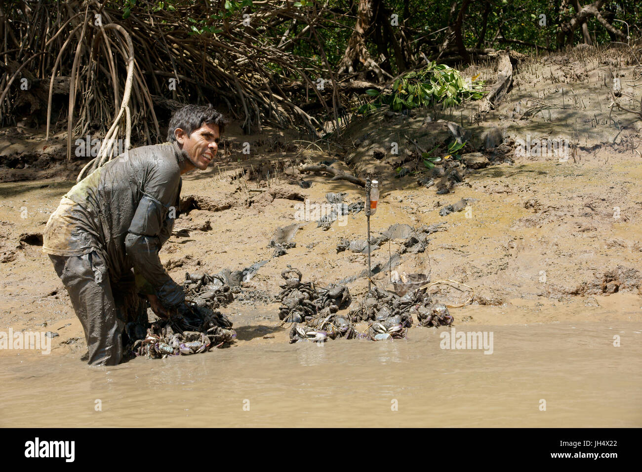 People, man, swamp, City, Parnaíba, Piauí, Brazil Stock Photo - Alamy