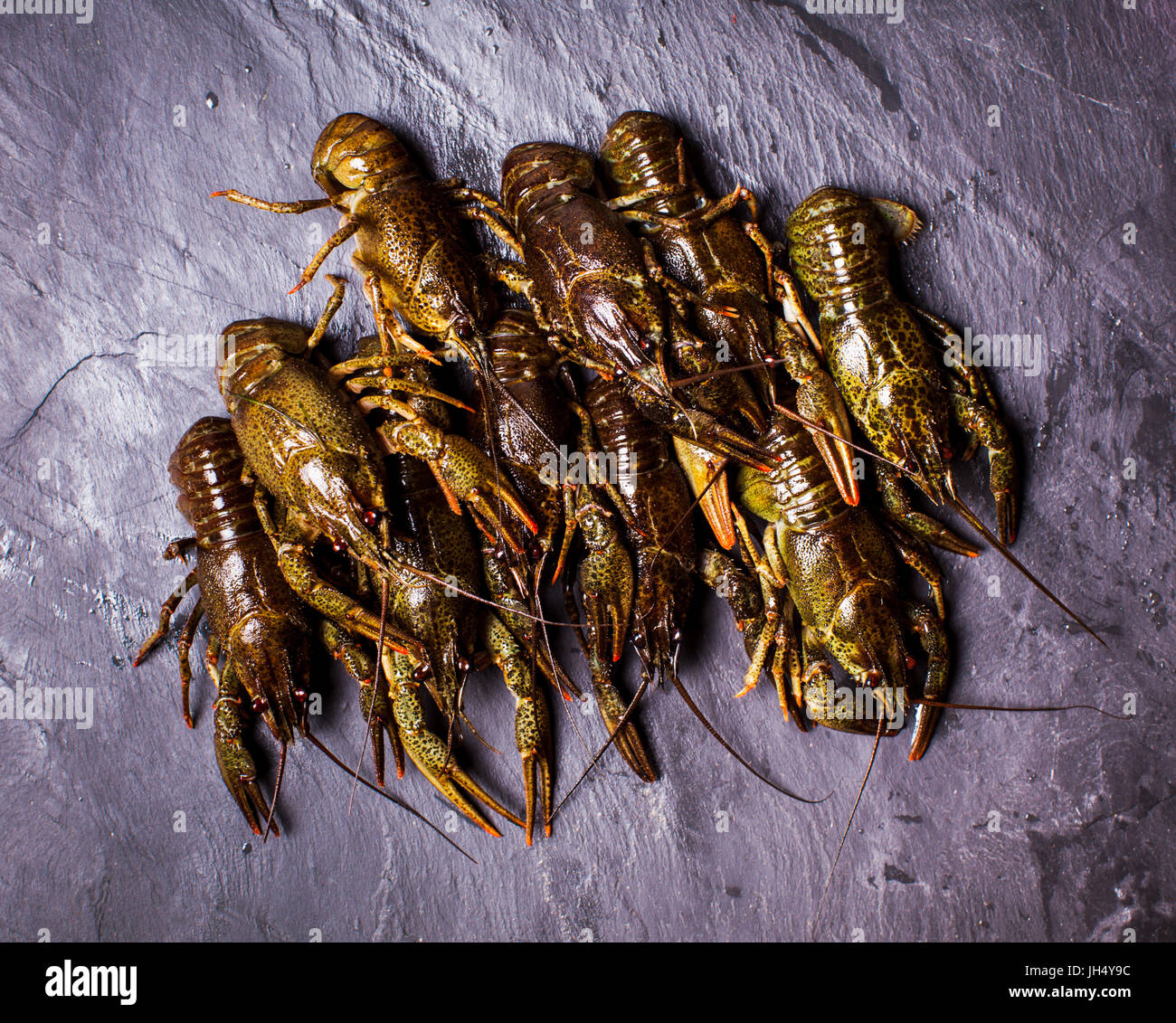 Group of fresh crayfish on the slate dark background Stock Photo - Alamy