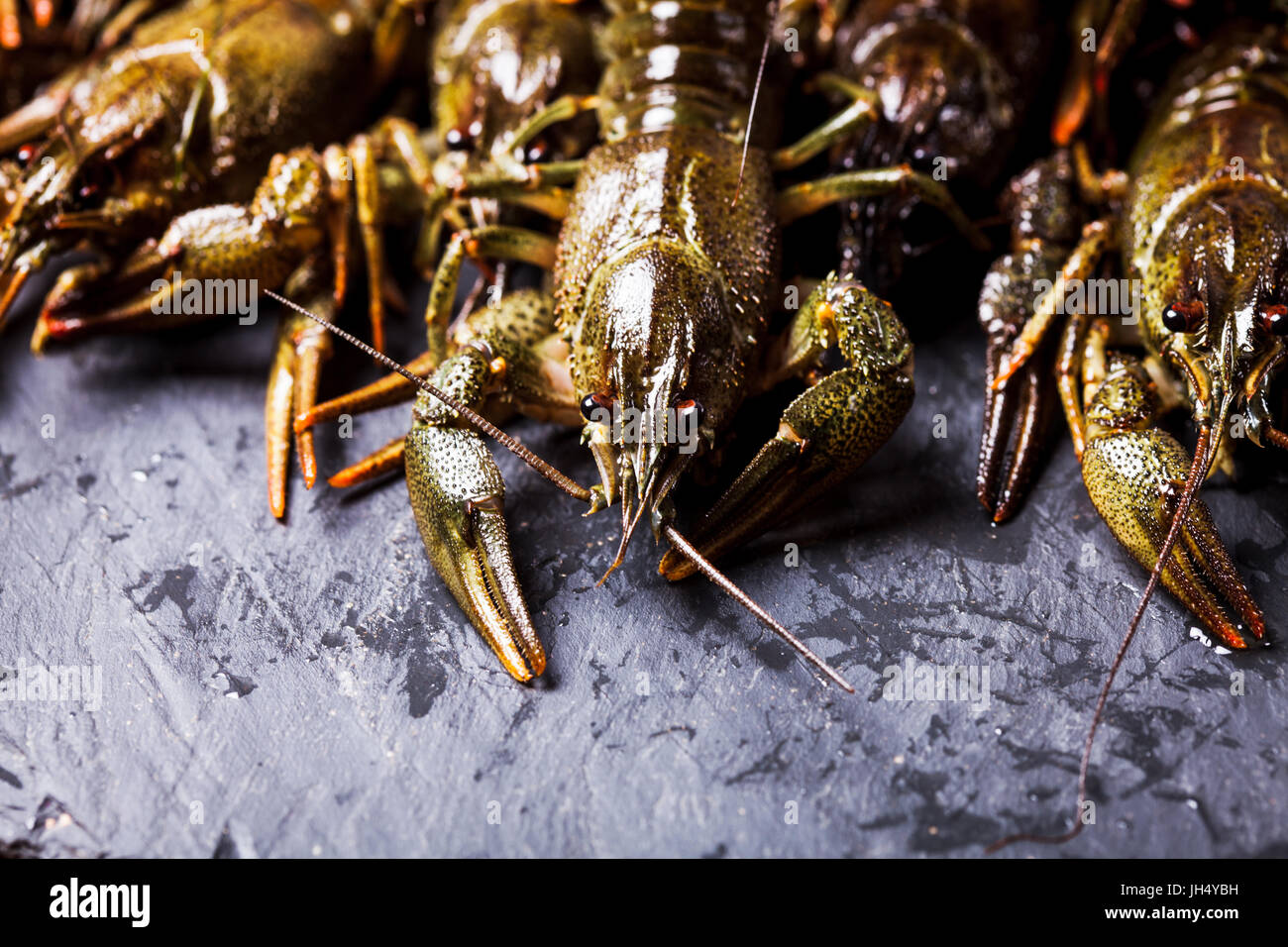 Group of fresh crayfish on the slate dark background Stock Photo - Alamy