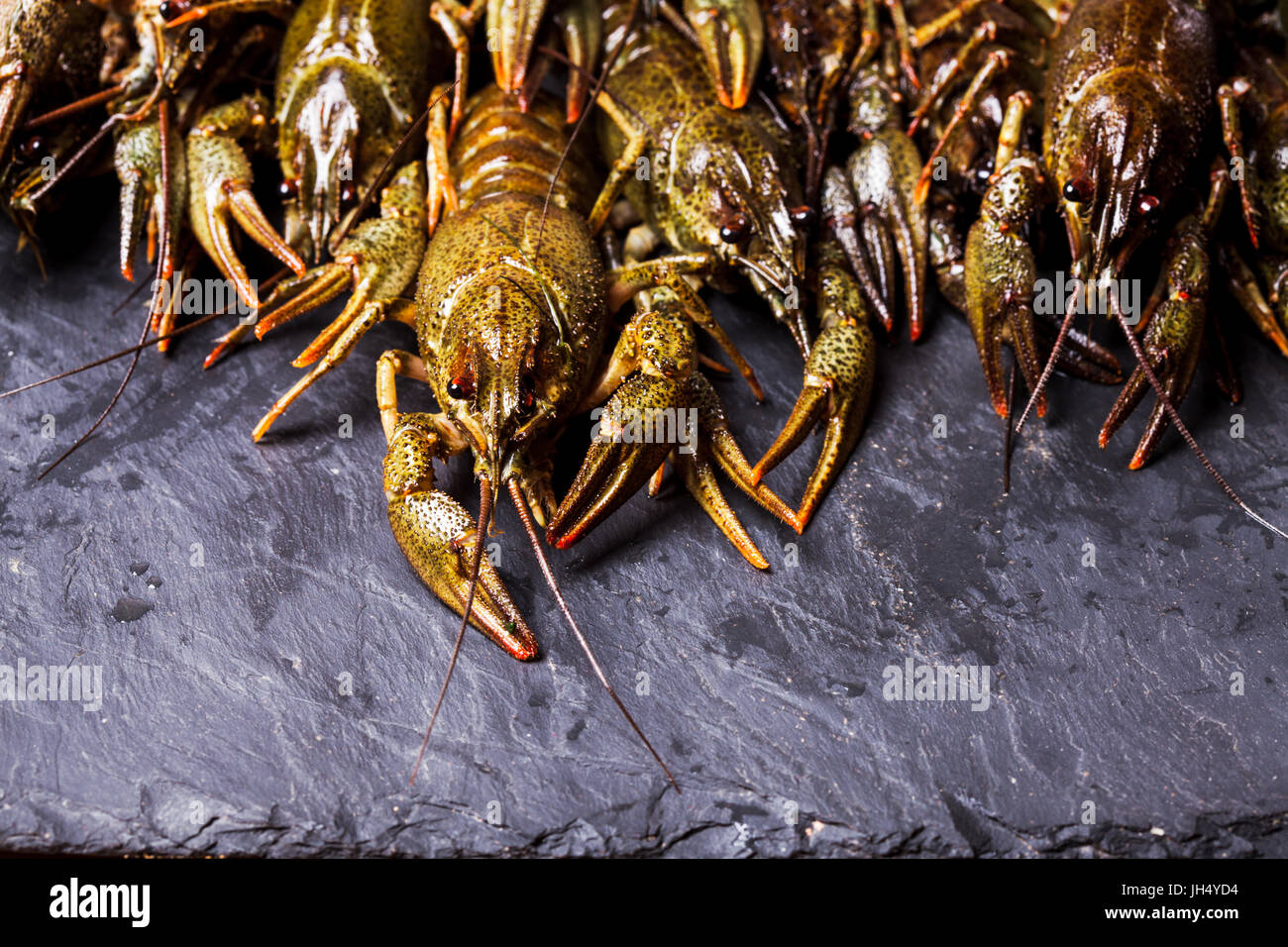 Group of fresh crayfish on the slate dark background Stock Photo - Alamy