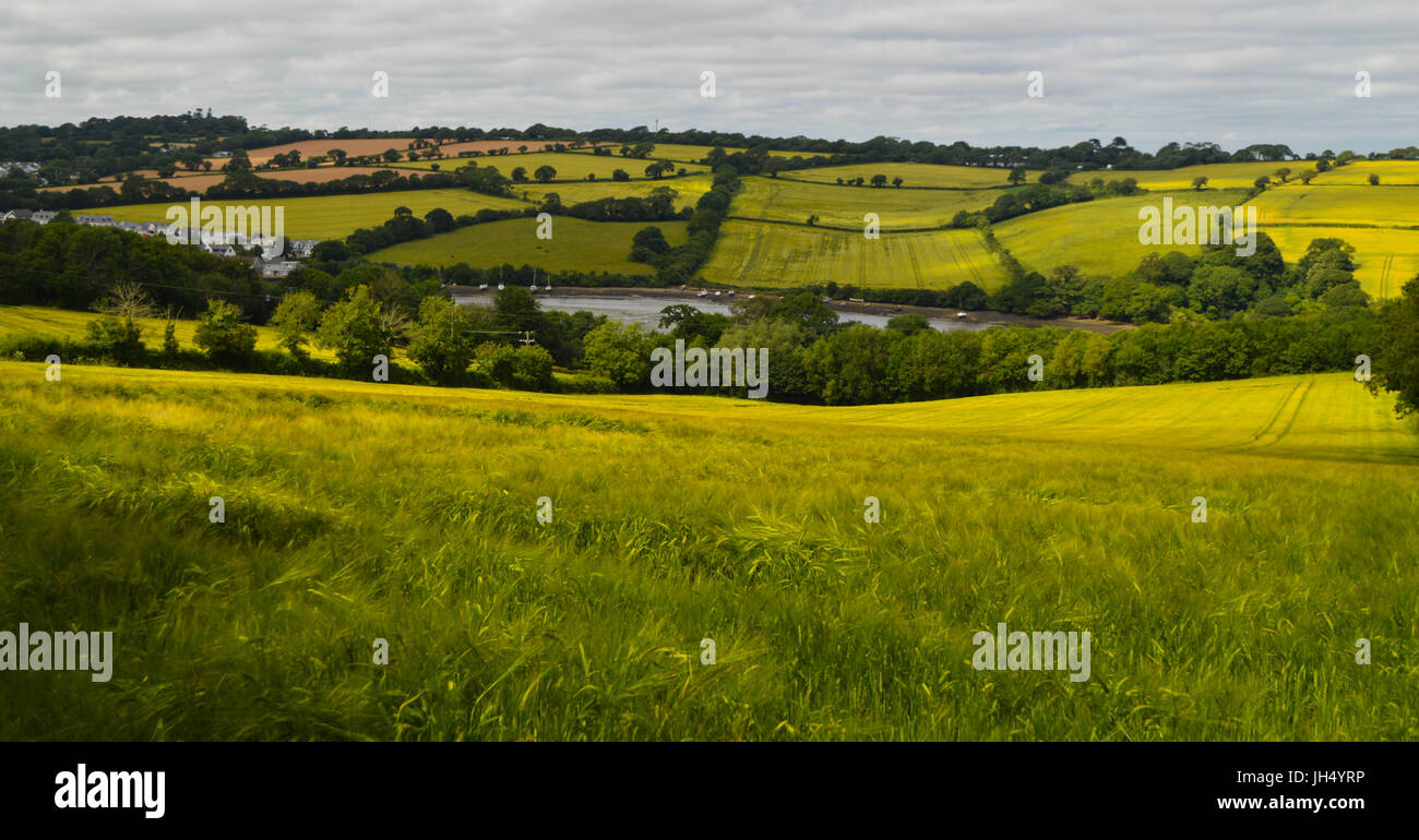 Cornish farmland near Flushing Stock Photo - Alamy