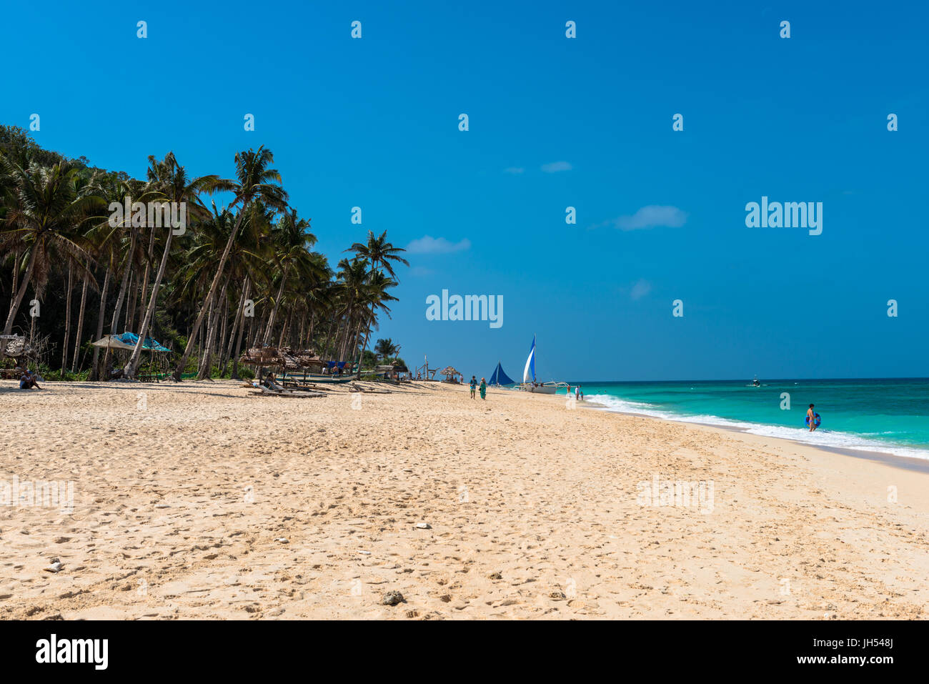 Puka trees hi-res stock photography and images - Alamy