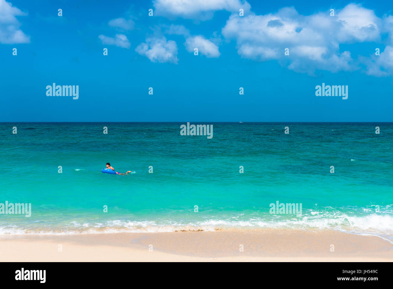 Puka trees hi-res stock photography and images - Alamy