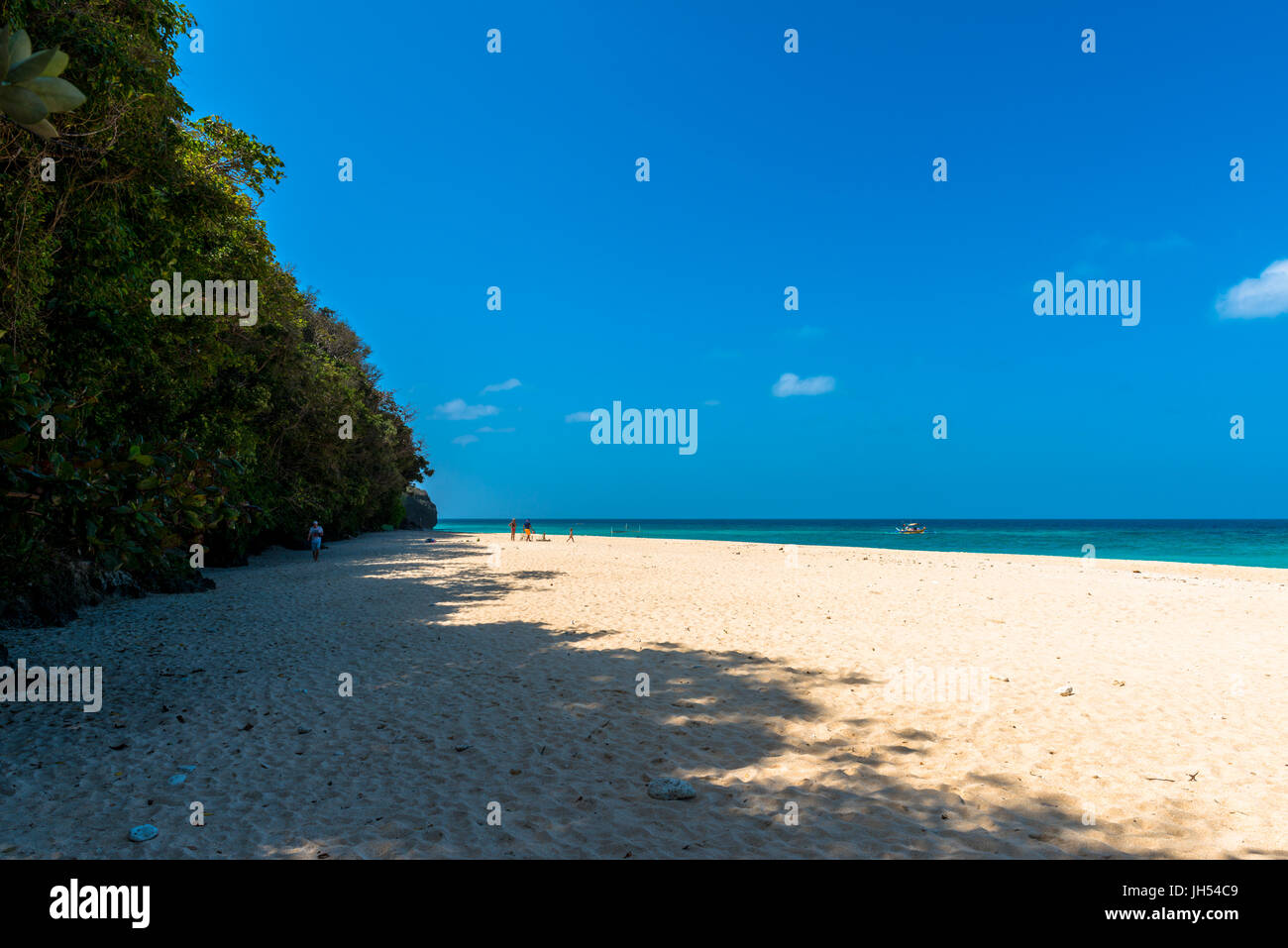 Puka trees hi-res stock photography and images - Alamy
