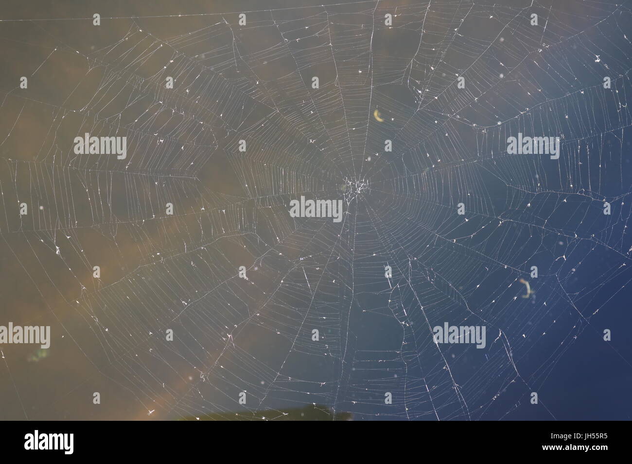 Spiderweb over the water Stock Photo - Alamy