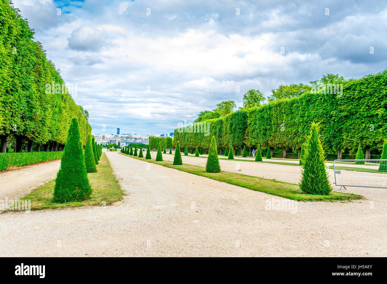 Beautiful rows of yew trees within Parc Saint-Cloud located mostly ...